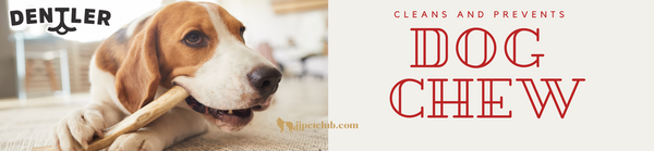 Dentler | J & J PET CLUB – J & J Pet Club