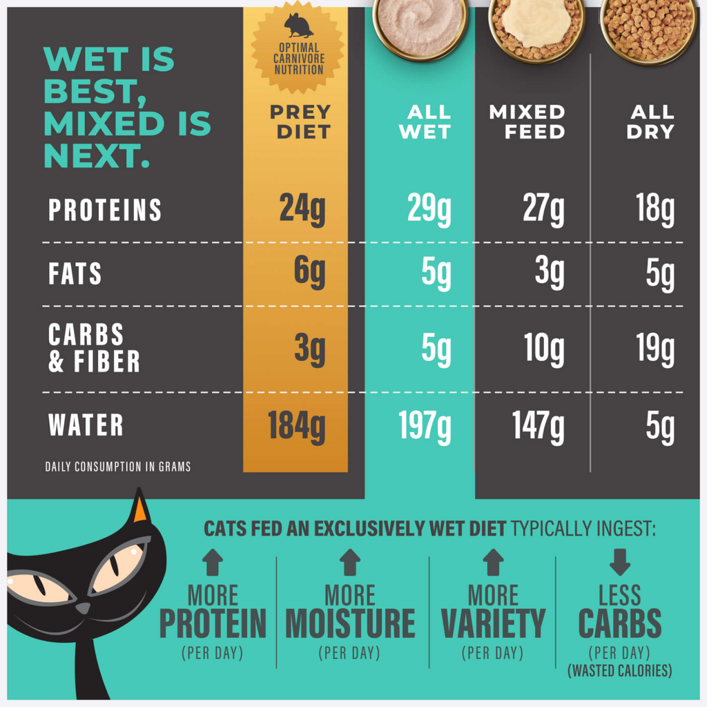 Wet Cat Food - SOLUTIONS MOUSSE - Skin + Coat - Salmon Recipe in Broth ...