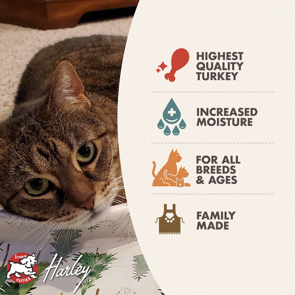 Canned Cat Food - FOUR STAR - Turkey Pâté – J & J Pet Club