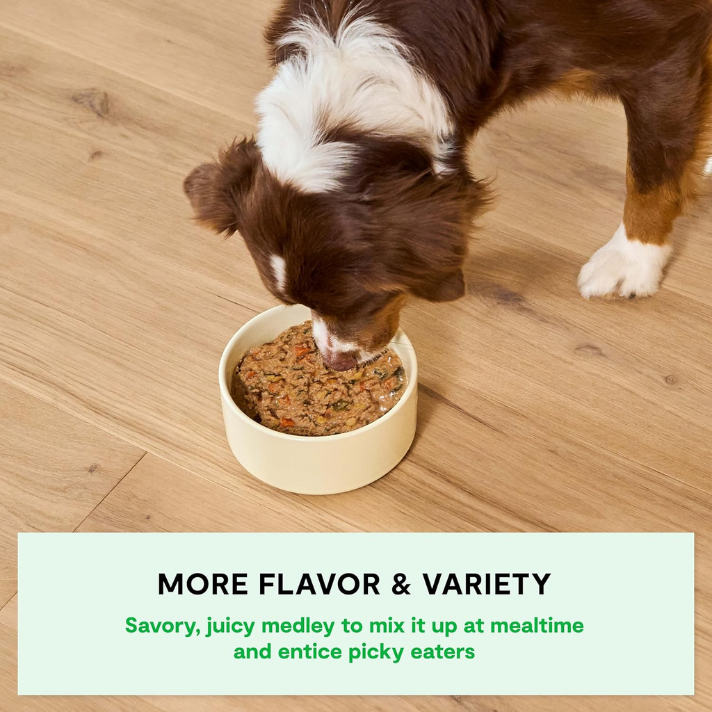 Wet Dog Food - Homestead Turkey Rustic Stew – J & J Pet Club