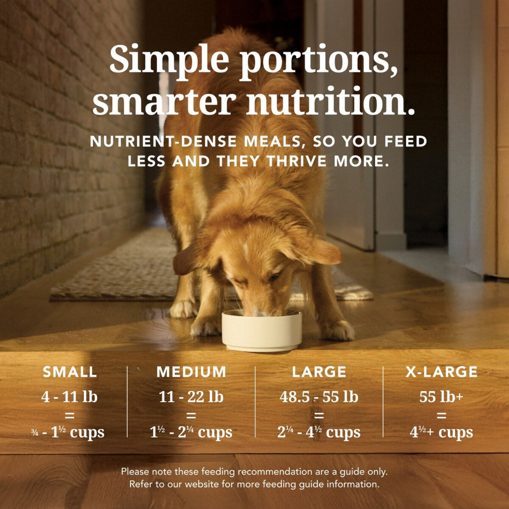 Freeze Dried Dog Food - Lamb & King Salmon Feast – J & J Pet Club