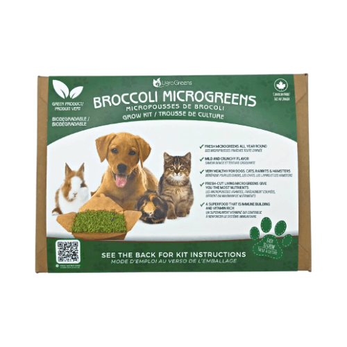 Broccoli Microgreens Grow Kit – J & J Pet Club