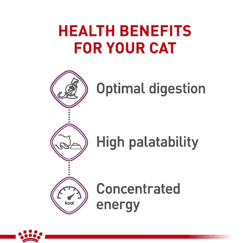 Dry Cat Food - Sensitive Digestion - Adult – J & J Pet Club