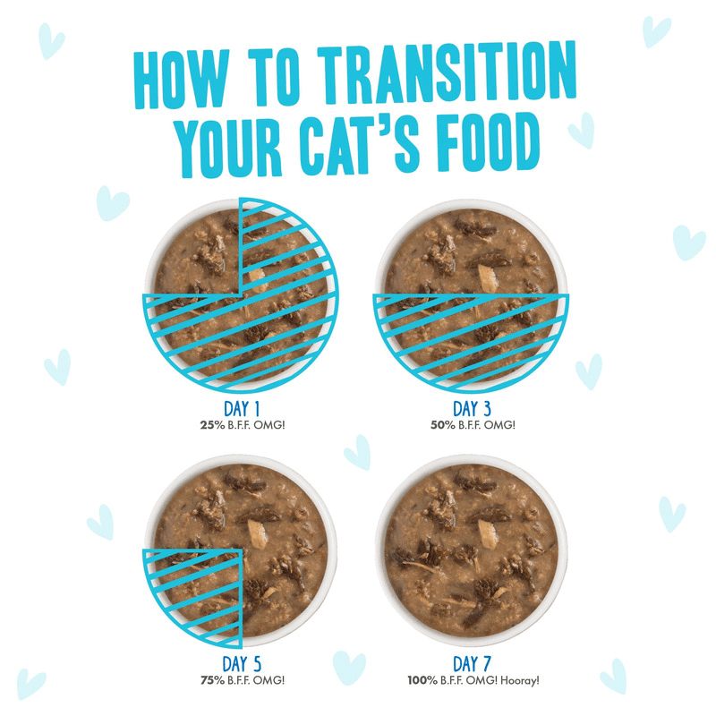 Wet Cat Food - BFF OMG GRAVY - Potluck O' Pouches - Variety Pack - 2.8 ...