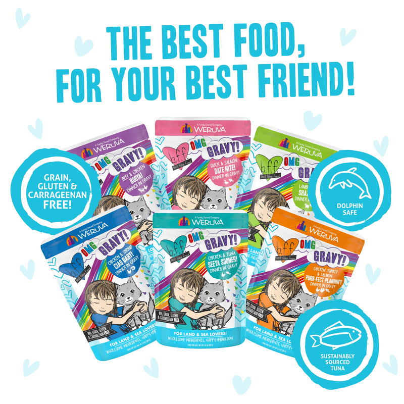 Wet Cat Food - BFF OMG GRAVY - Potluck O' Pouches - Variety Pack - 2.8 ...